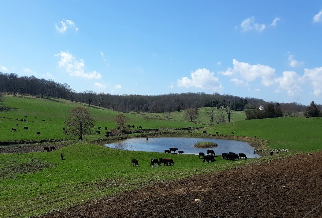 Fielder Farm