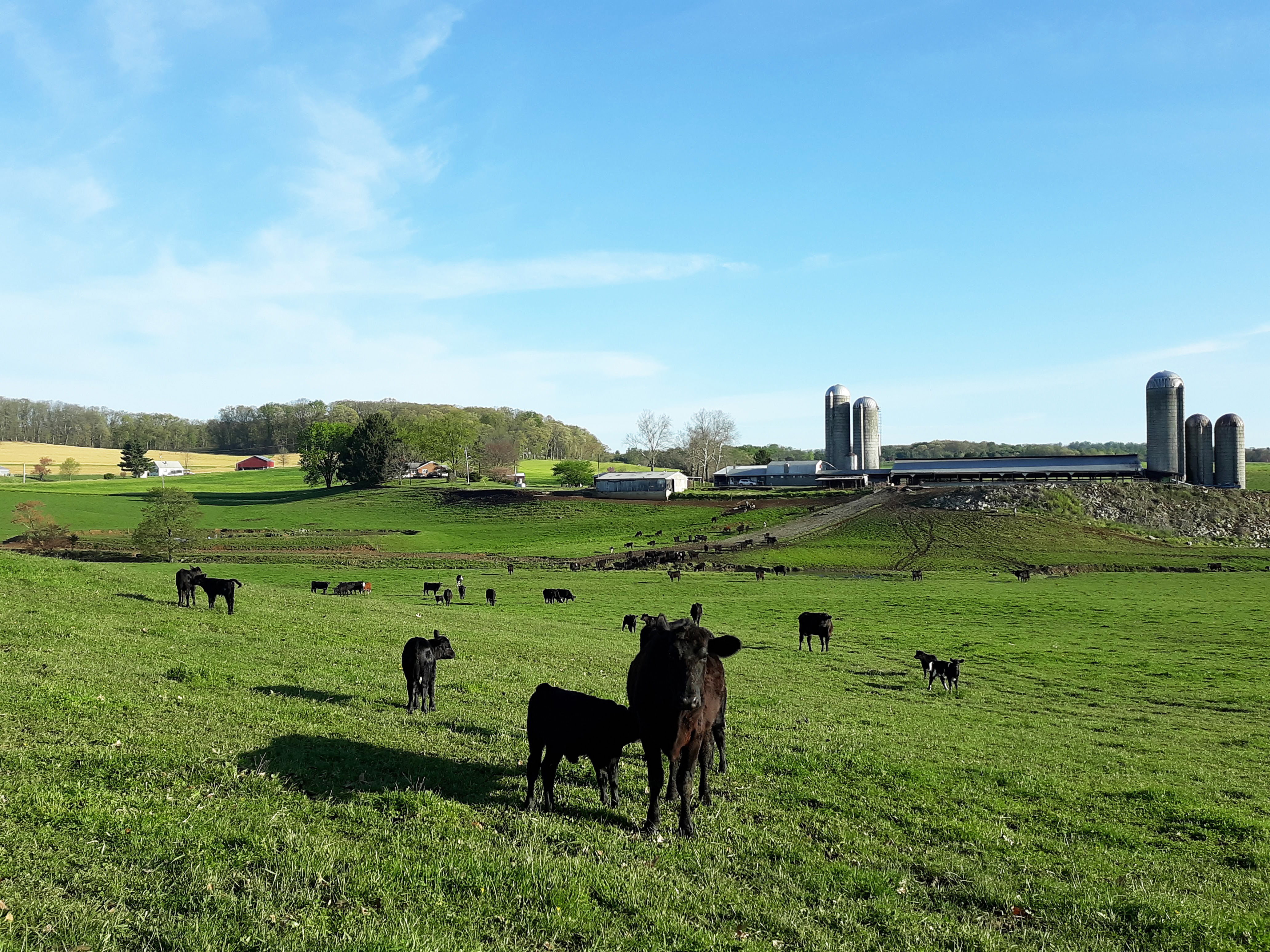 Fielder Farm